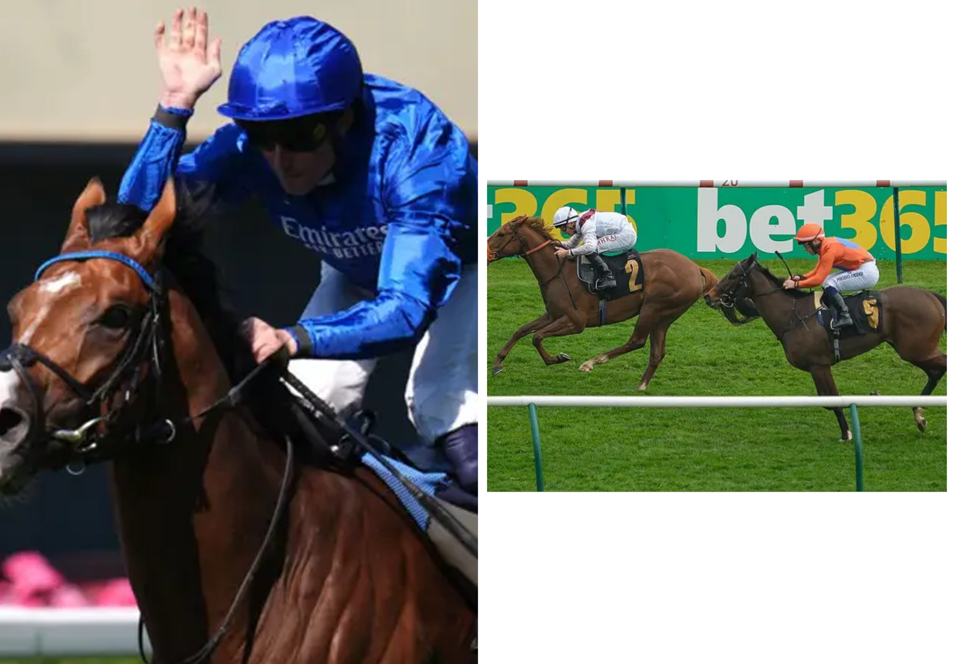 Triumph and tragedy collide on Royal Ascot’s second day | ANA-MODE