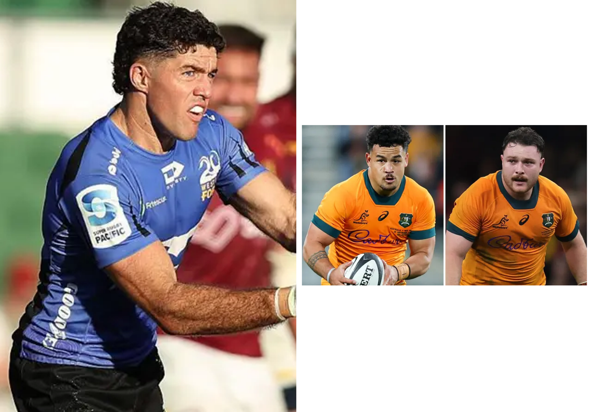 Australia walks a tightrope as Lions tour sparks tension over player ...