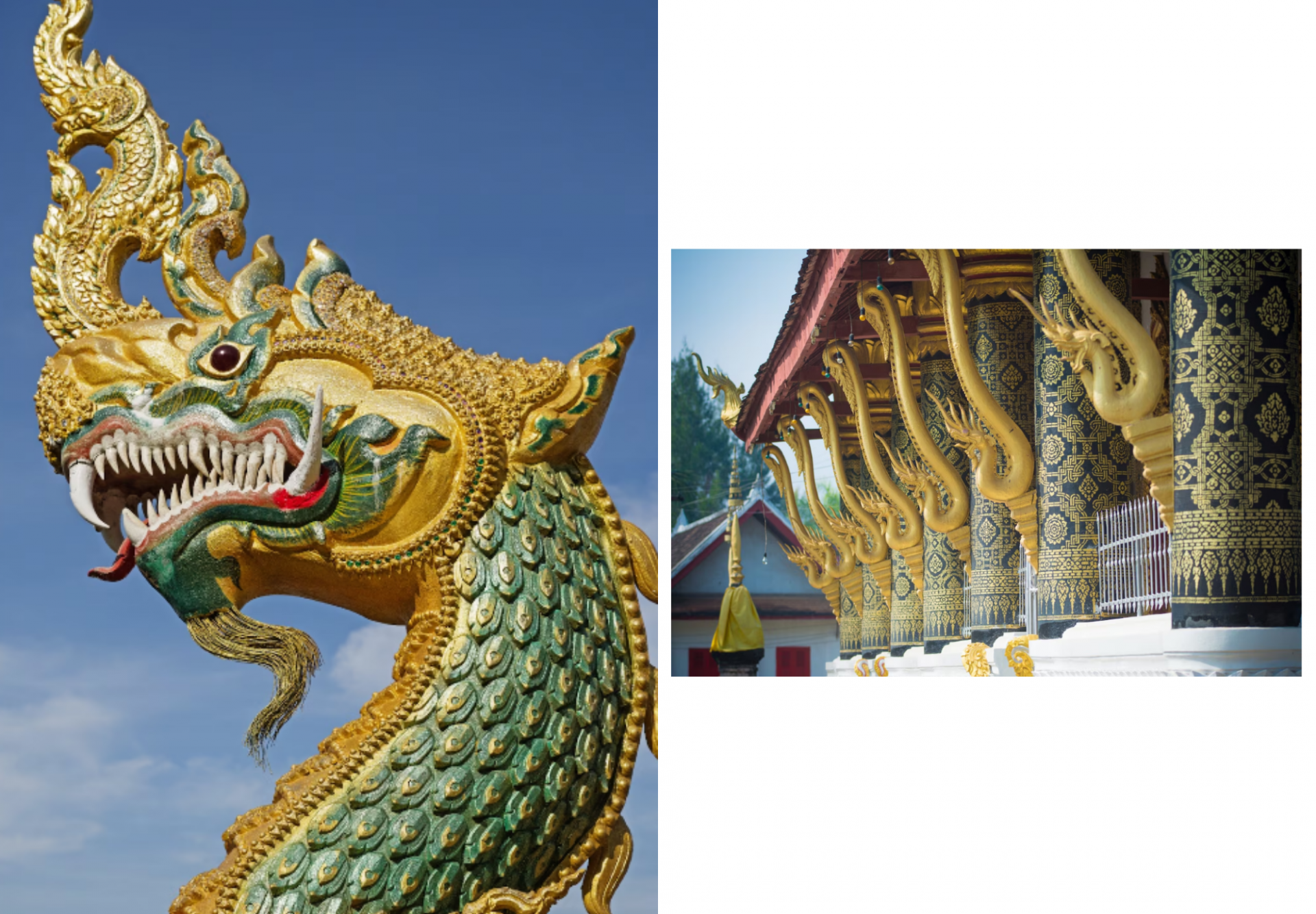 The Silk and the Serpent: Weaving the Soul of Laos | ANA-MODE