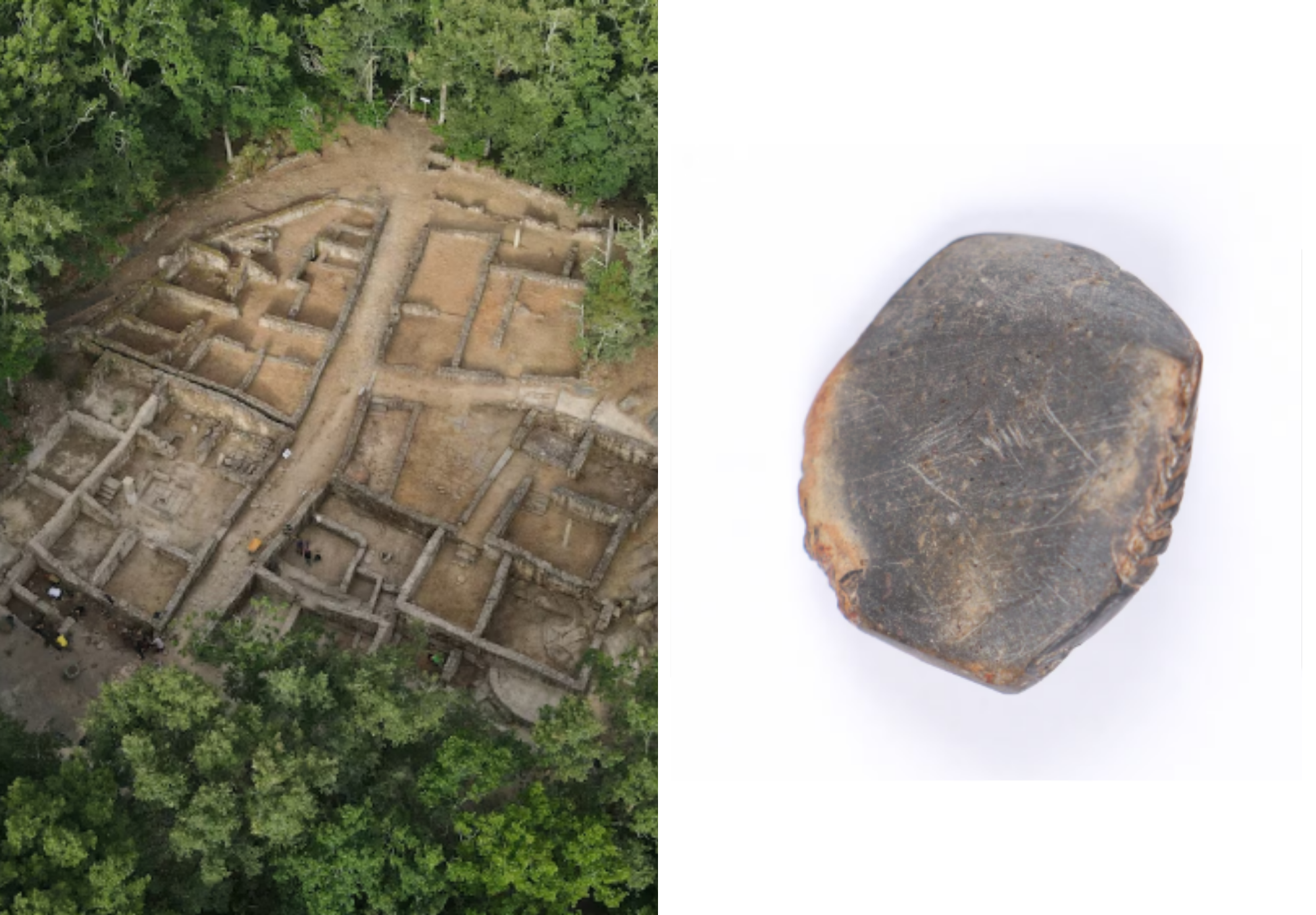 The 450-Million-Year-Old Amulet: A Trilobite In Roman Hands | ANA-MODE