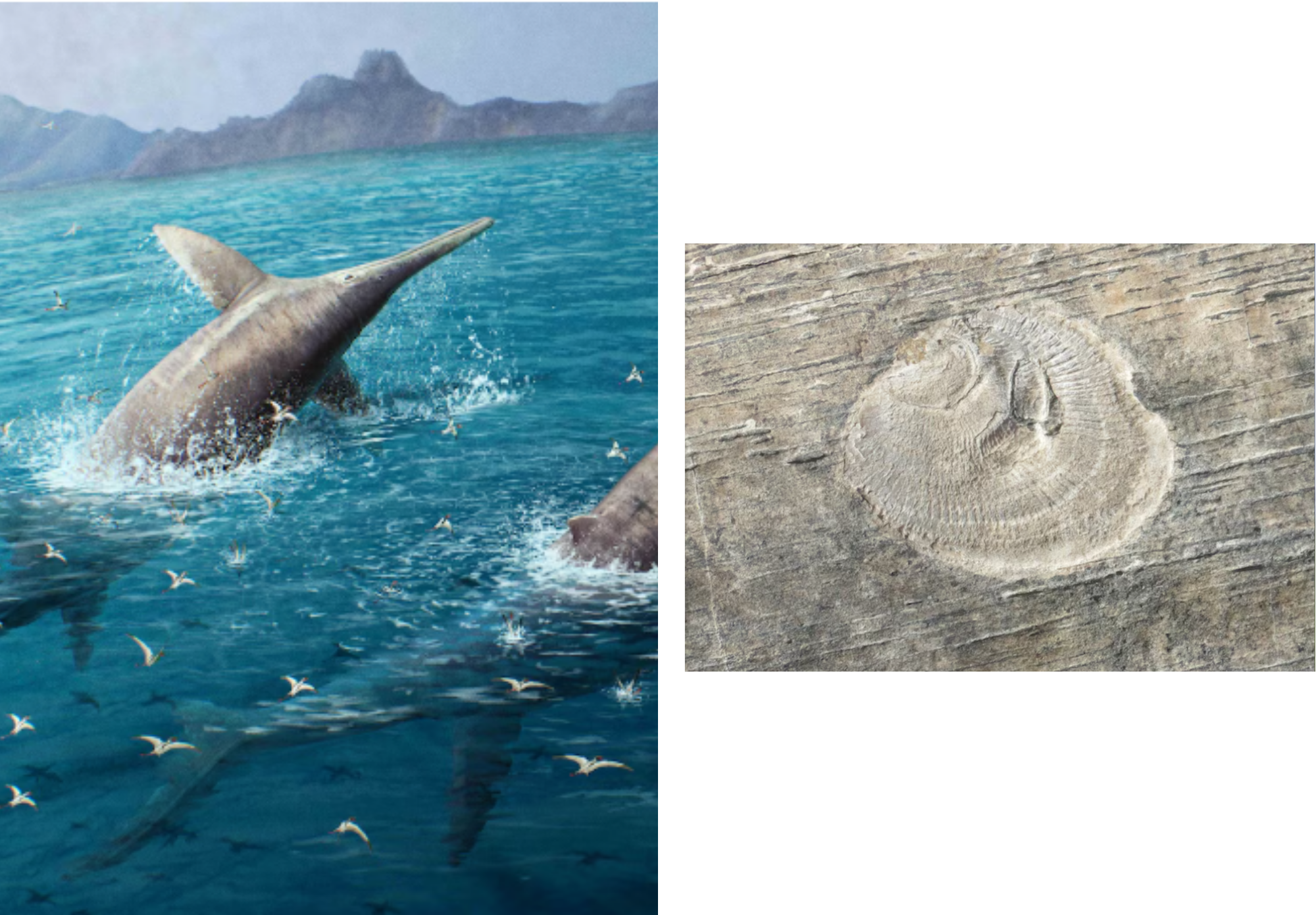 Ichthyotitan Severensis: The Colossal New Ancient Sea Dragon | ANA-MODE