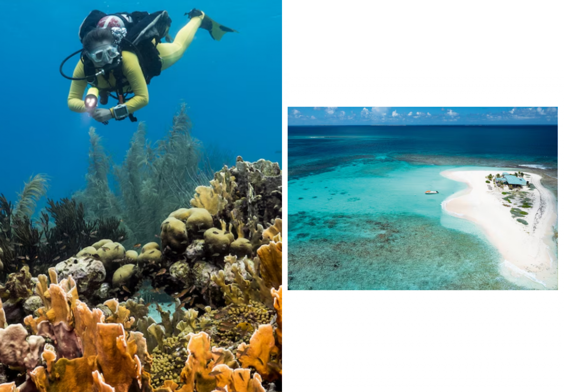 Anguilla: The Caribbean’s Hidden Gem For The Novice Diver | ANA-MODE