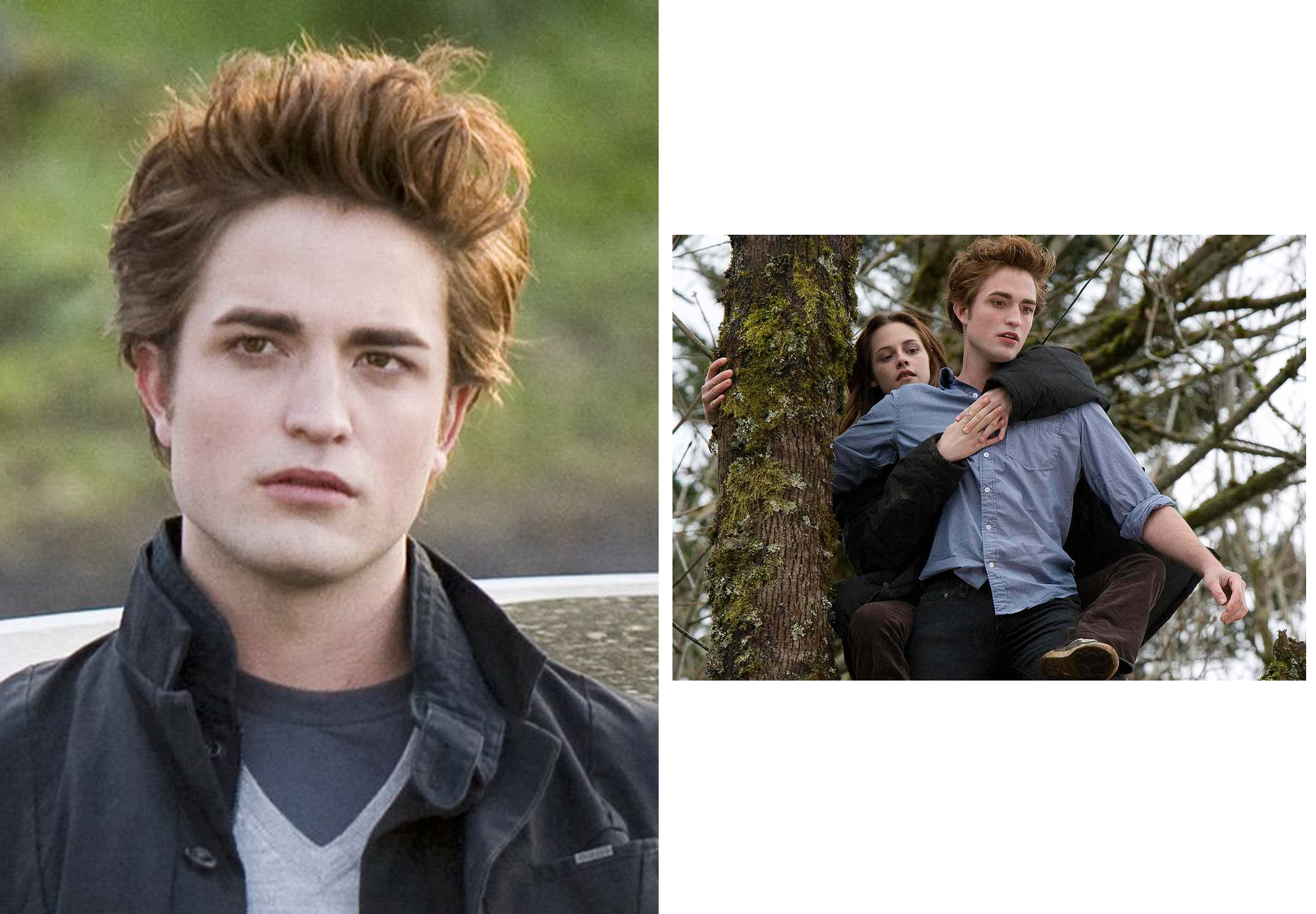 A vampire frenzy: the entire twilight saga streams for free on youtube ...