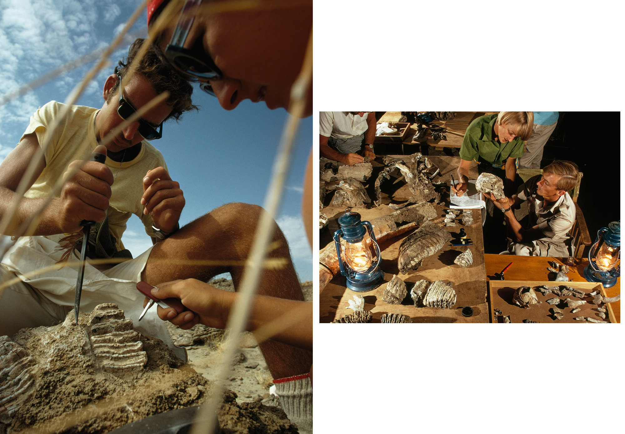 The Skull of Koobi Fora: Richard Leakey’s Pursuit of Early Human ...