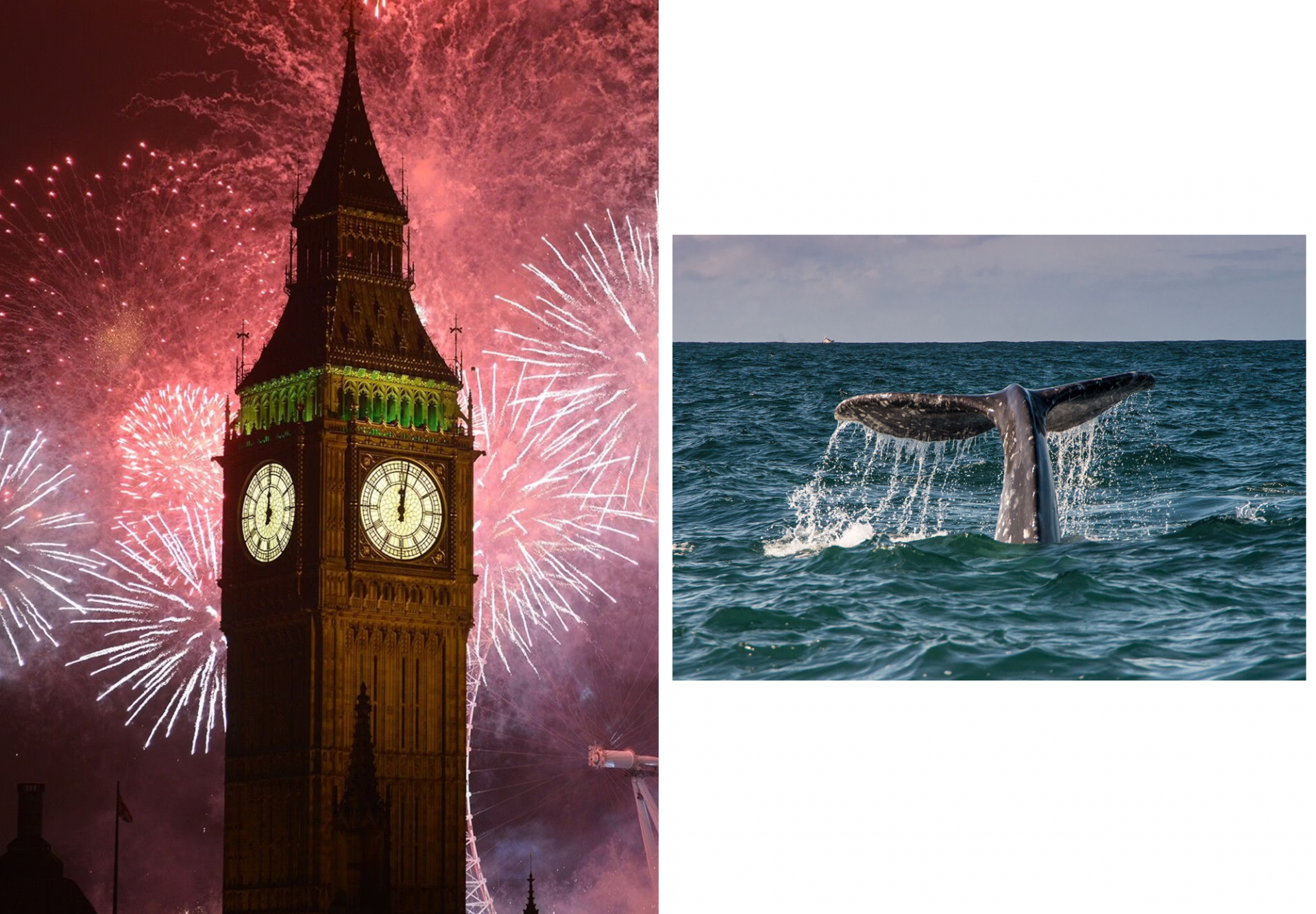 Beyond the Countdown: Unique New Year’s Traditions to Ring in 2026 ...