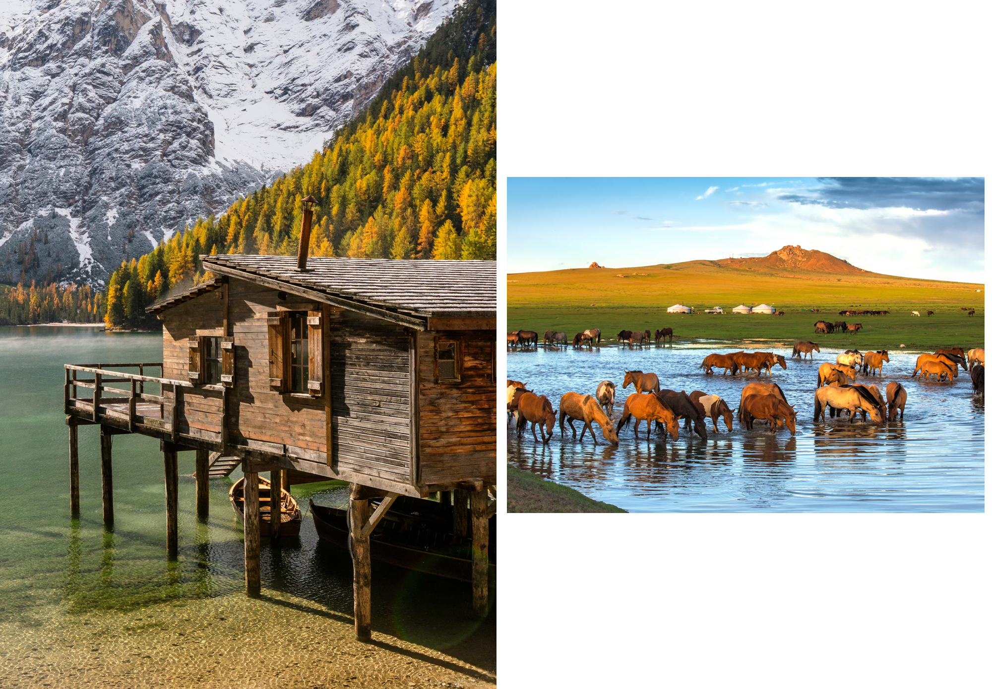 The First Sanctuary: Bogd Khan Uul and the Birth of Conservation | ANA-MODE