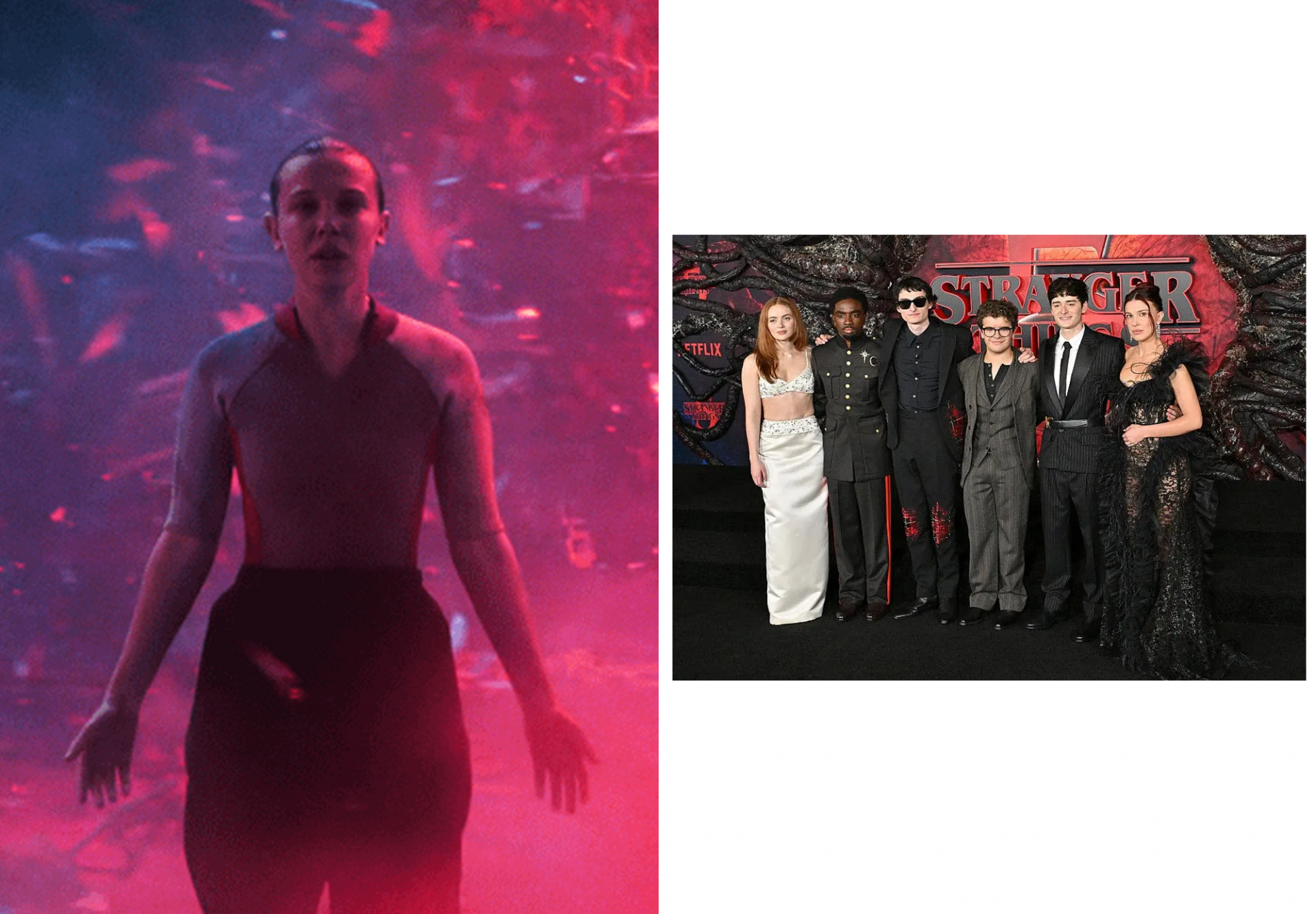 The Upside Down Aftermath: Navigating the ‘Stranger Things’ Expanded ...