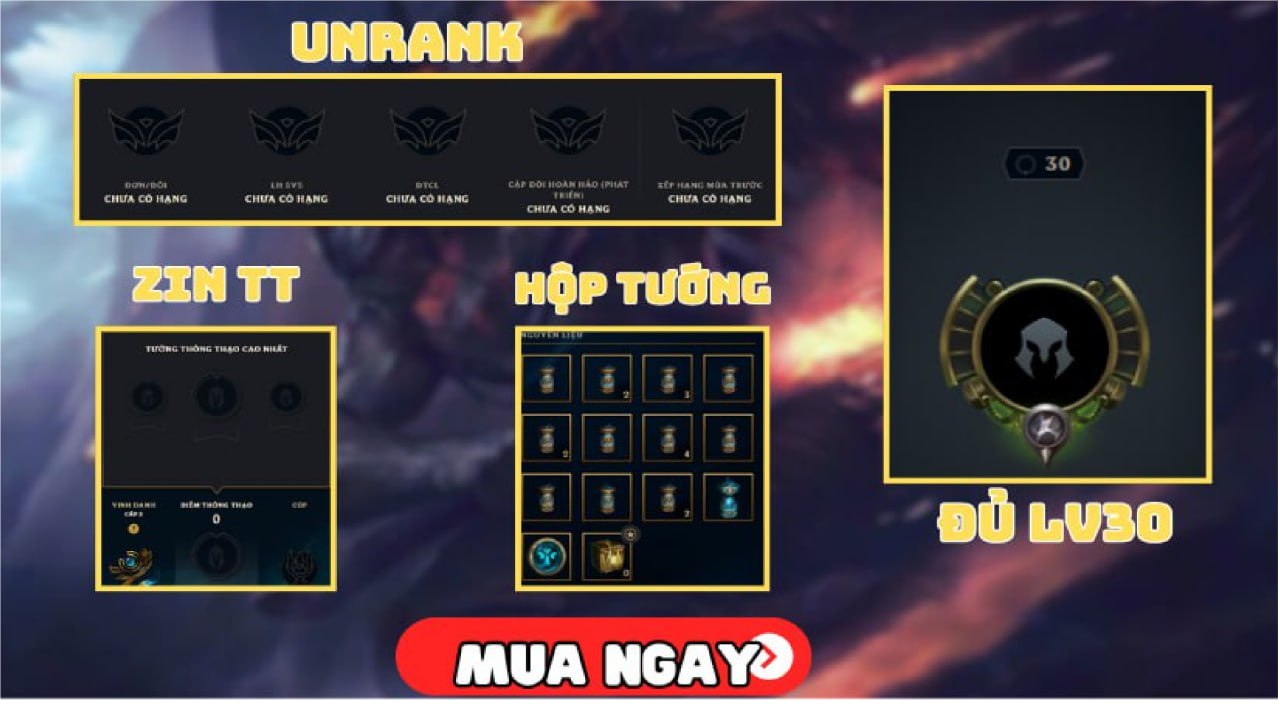 NICK LIÊN MINH LEVEL 30